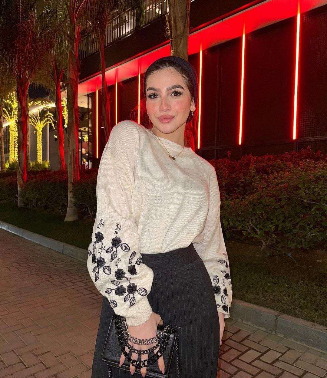 Embroidered Sleeve Pullover in White - Pullovers